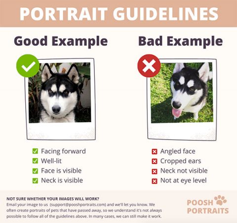 how it works - Poosh Portraits
